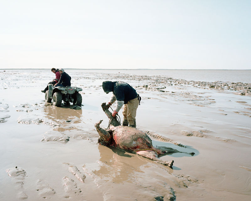 Carcass Management - Corey Arnold - Photographer
