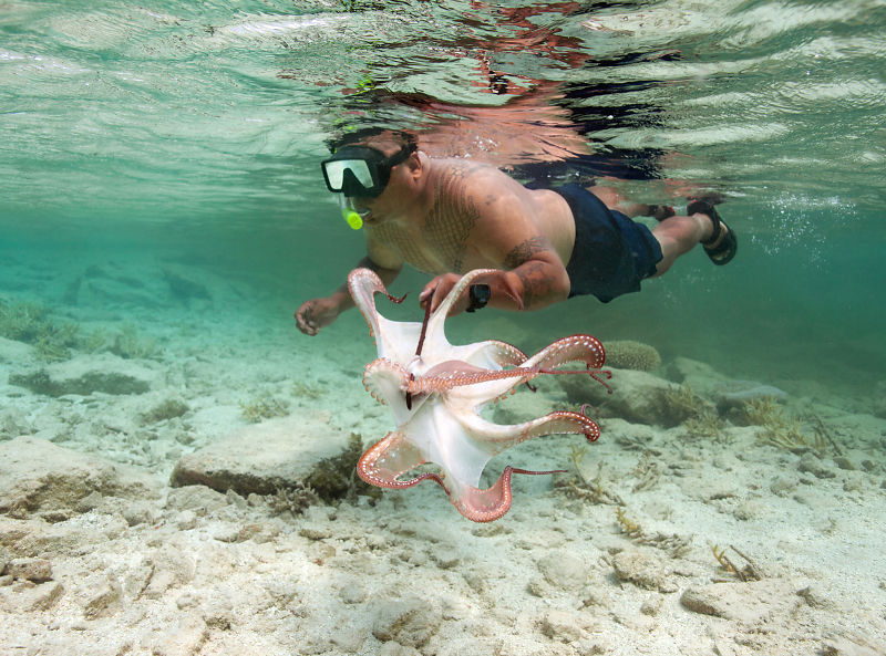 Corey-Arnold-Bikini-24.jpg - Corey Arnold - Photographer