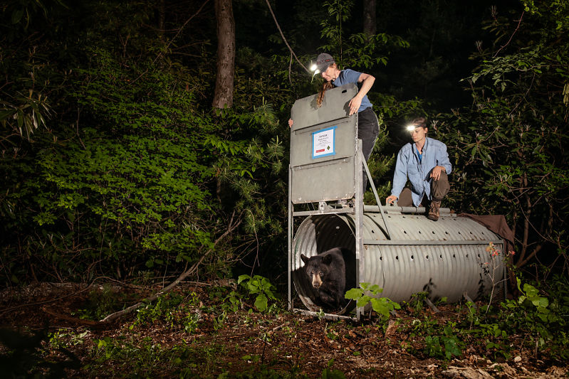 Barrel Trap - Corey Arnold - Photographer